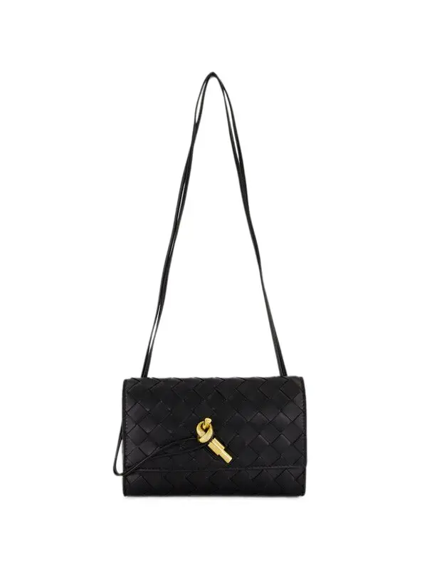 Bottega Veneta Andiamo Leather Mini Bag - Multicolor