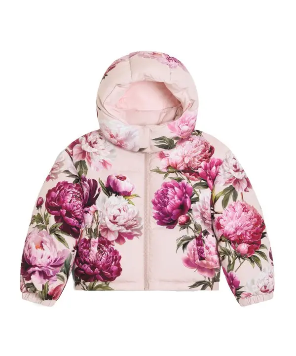 Dolce & Gabbana Long-sleeved Padded Jacket - Multicolor