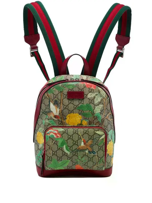 Gucci 2016-2026 Small Gg Supreme Web Tian Backpack