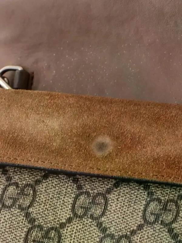 Gucci Dionysus Bag Gg Coated Canvas Super Mini Crossbody Bag