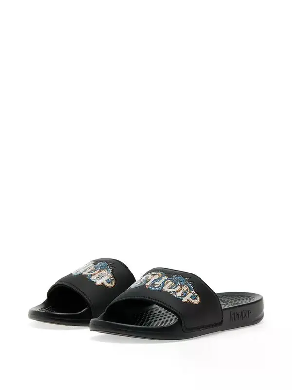 RIPNDIP Shen Nerm Slides