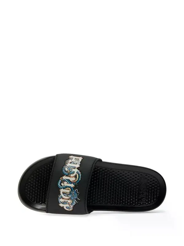 RIPNDIP Shen Nerm Slides