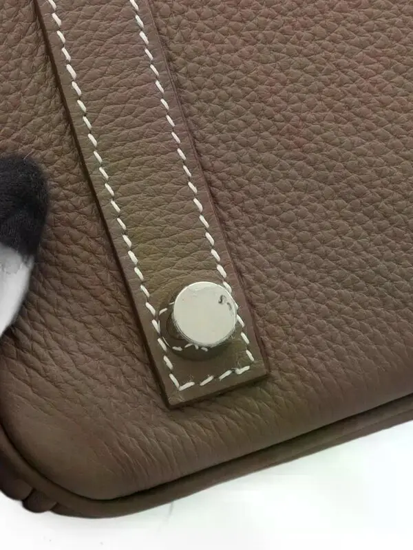 Hermès 25 Birkin Togo Tote Bag