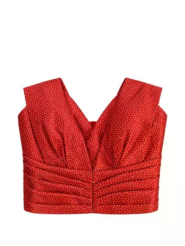 Elisabetta Franchi Gazar Polka-dot Lace-up Top - Red