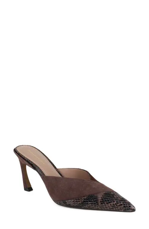 Bcbgmaxazria Ginna Snakeskin Embossed Mule - Chocolate Multi