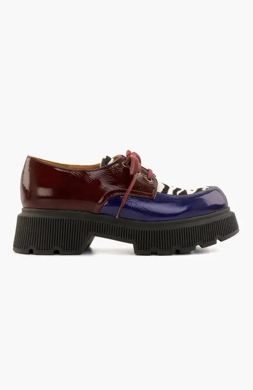 Chie Mihara Qamba49 Zebra Print Patent Leather Lace-up Oxford - Navy