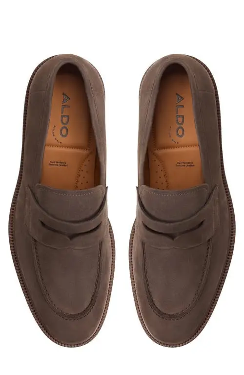 Aldo Fenson Leather Penny Loafer - Brown