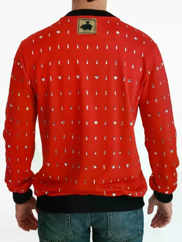 Dolce & Gabbana Crystal-embellished Piggy-bank Sweater