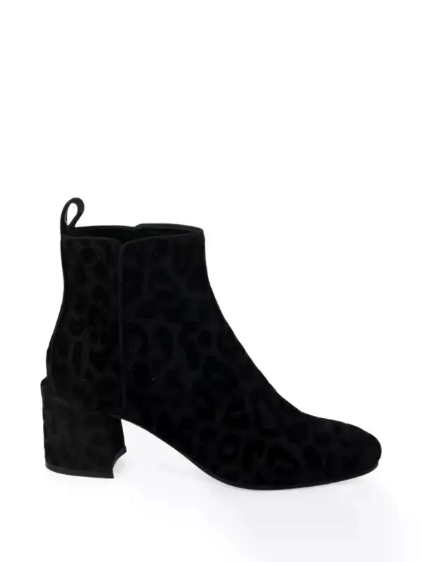 Dolce & Gabbana Leopard-print Velvet Ankle Boots - Black