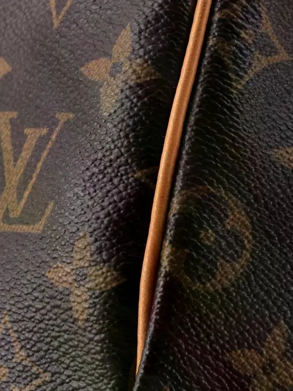 LOUIS VUITTON Speedy Handbag Monogram Canvas 25 Satchel