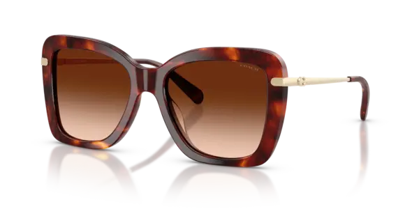 COACH Hc8461u - Walnut Tortoise