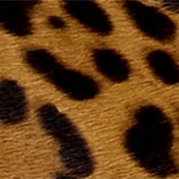 Givenchy Calf Hair Leopard Print Tape Slingback Pumps 65