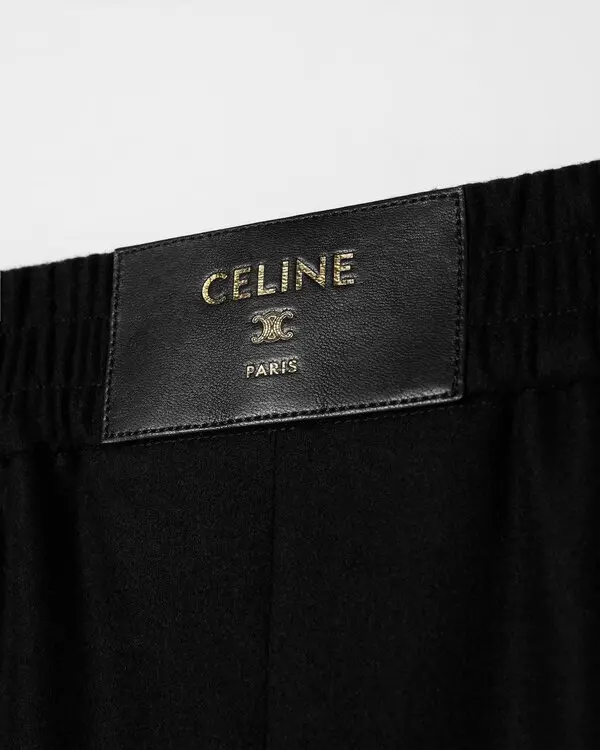 Celine Trousers In Cashmere Flannel