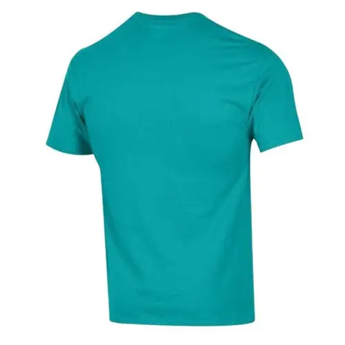 Champion Miami Dolphins Jersey T-shirt