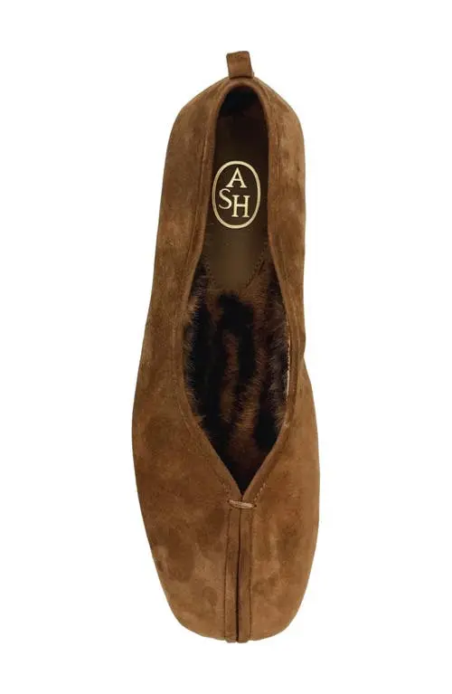 Ash Breeze Leather Ballet Flat