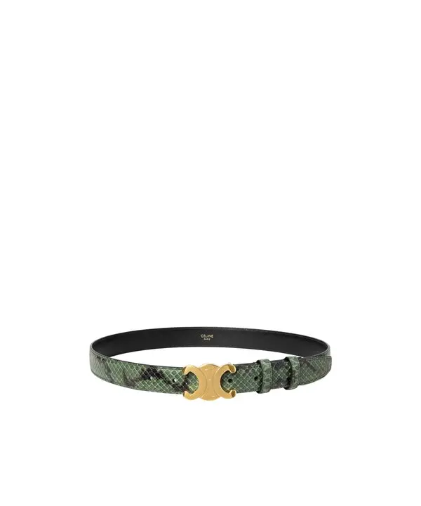 Celine Triomphe Belt 25 In Python