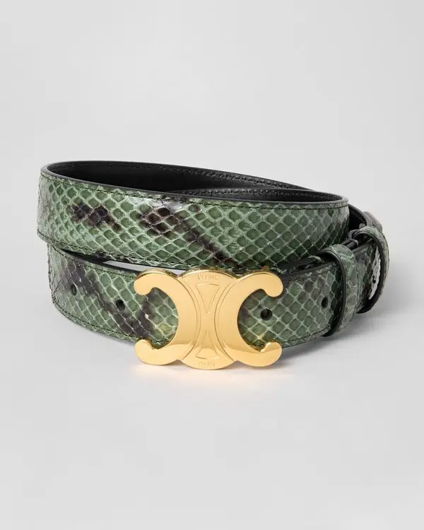 Celine Triomphe Belt 25 In Python