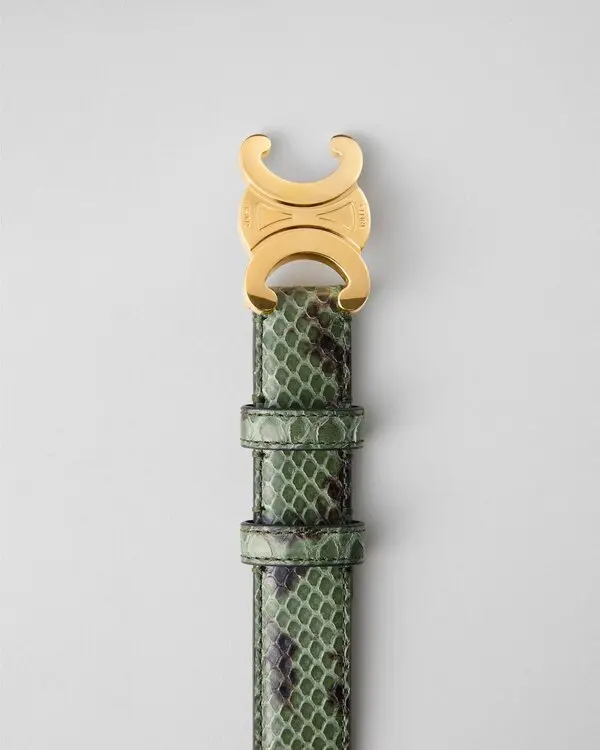 Celine Triomphe Belt 25 In Python