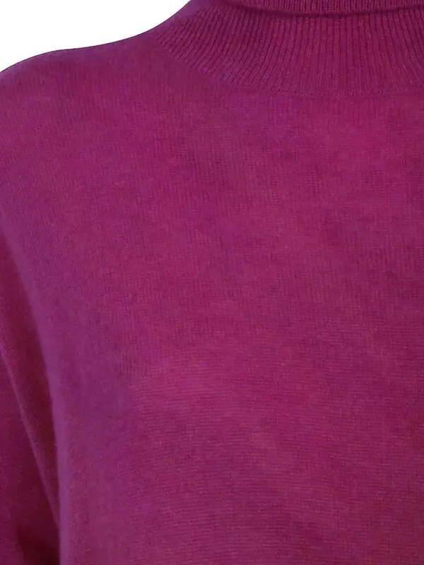 ABSOLUT CASHMERE Roll-neck Cashmere Sweater