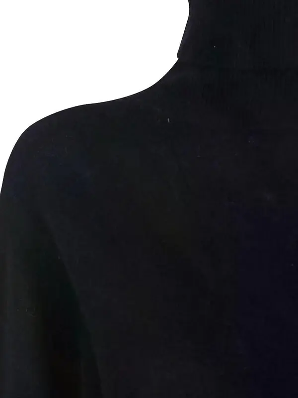 ABSOLUT CASHMERE Clara Roll-neck Sweater