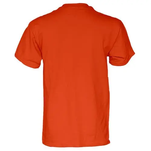 BLUE 84 Clemson Tigers Stripe The Valley T-shirt