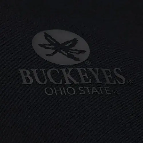 Mitchell & Ness Ohio State Buckeyes Monochrome Icon Fleece Hoodie
