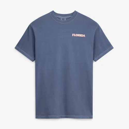 IMAGE ONE Florida Gators Comfort Colors Team Statue T-shirt