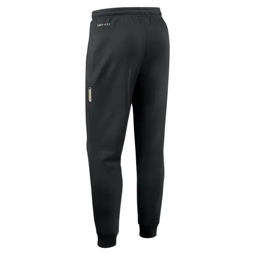 JORDAN BRAND Florida Gators 2026 Sideline Standard Issue Dri-fit Taper Pants