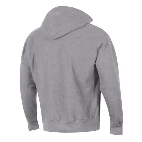 Champion Ohio State Buckeyes Established Reverse Weave Hoodie