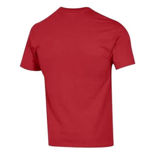 Champion Houston Texans Arch Over Logo T-shirt