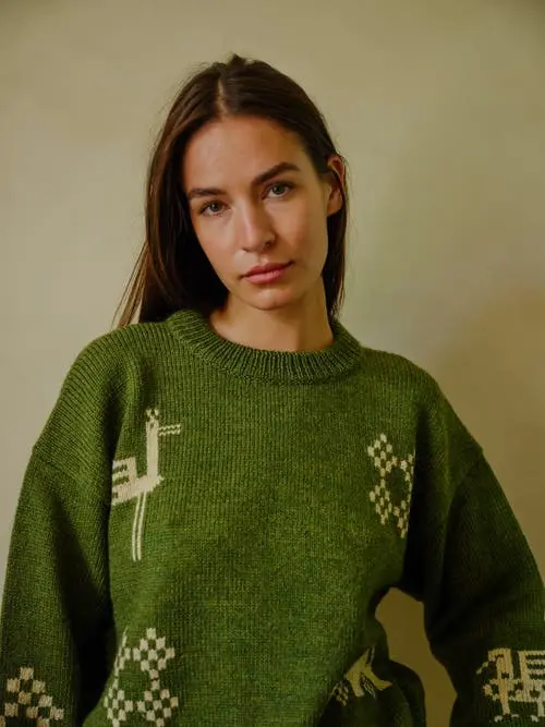 DEGEN Birds Graphic Merino Sweater - Terra