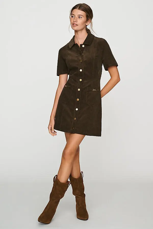 Paige Clemente 100% Cotton Mi Dress