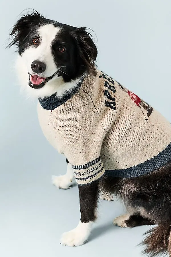 Anthropologie Seasonal Icon Pet Sweater - Teddybear