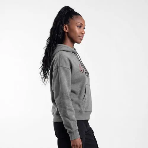 Champion San Francisco 49ers Triumph Tri-blend Hoodie