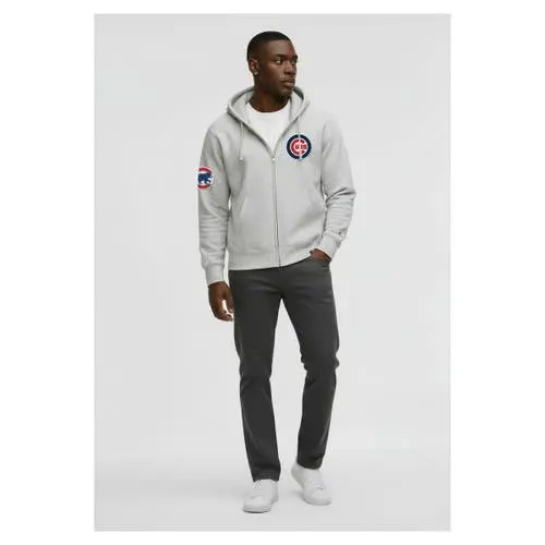 Champion Chicago Cubs Reverse Weave Chenille Full-zip Hoodie - Gray