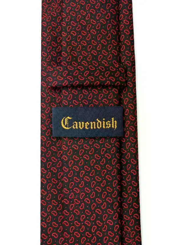 CAVENDISH Paisley Silk Tie