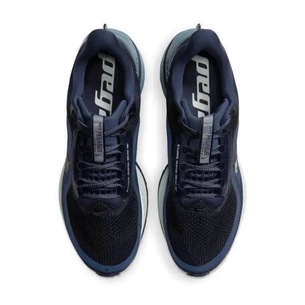 Nike Pegasus Premium Road Running Shoes