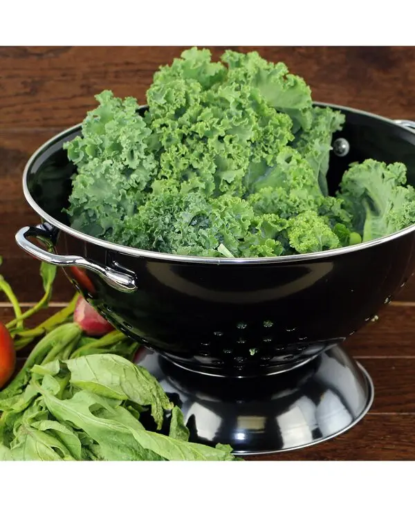 CALYPSO BASIC Power Coated Steel Colander, 5 Quart