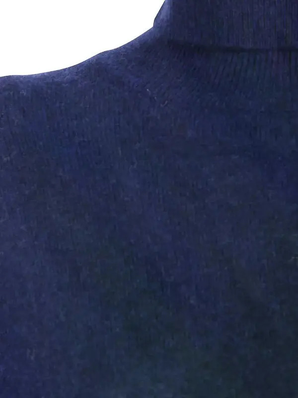ABSOLUT CASHMERE Roll-neck Cashmere Sweater