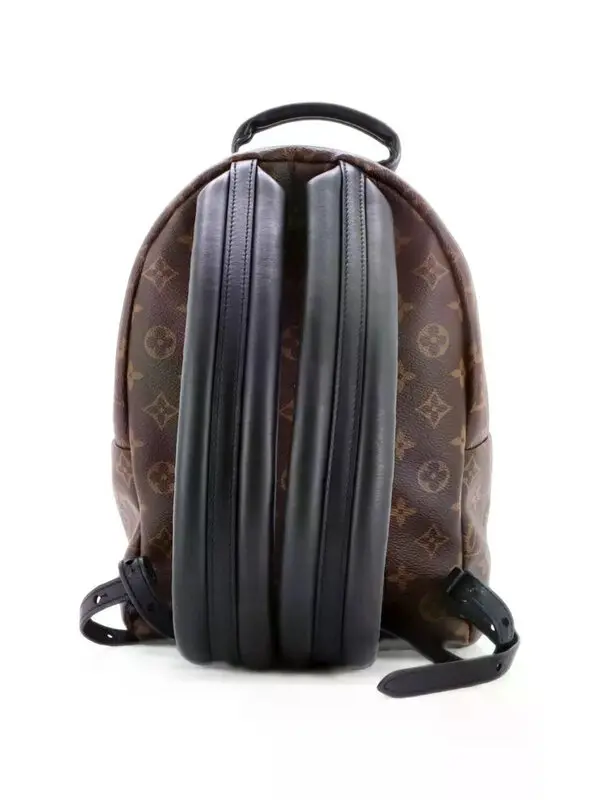 LOUIS VUITTON Palm Springs Monogram Canvas Pm Backpack