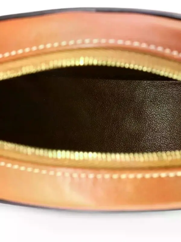 Celine Triomphe Oval Leather Mini Crossbody Bag