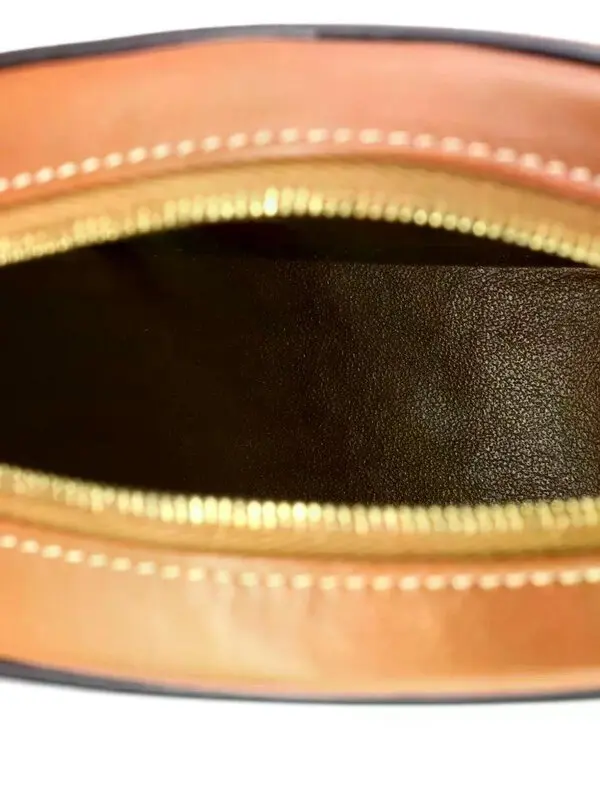 Celine Triomphe Oval Leather Mini Crossbody Bag