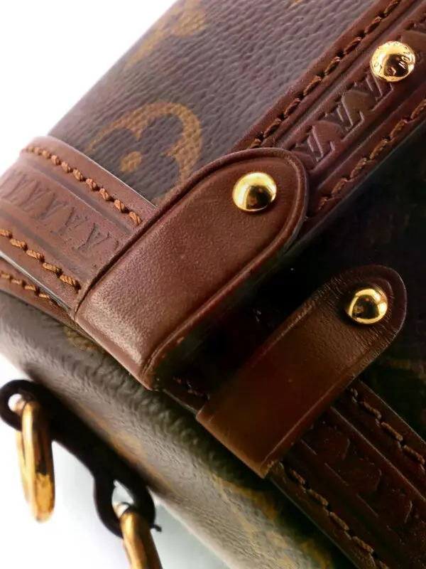 LOUIS VUITTON Papillon Trunk Bag Monogram Canvas Shoulder Bag