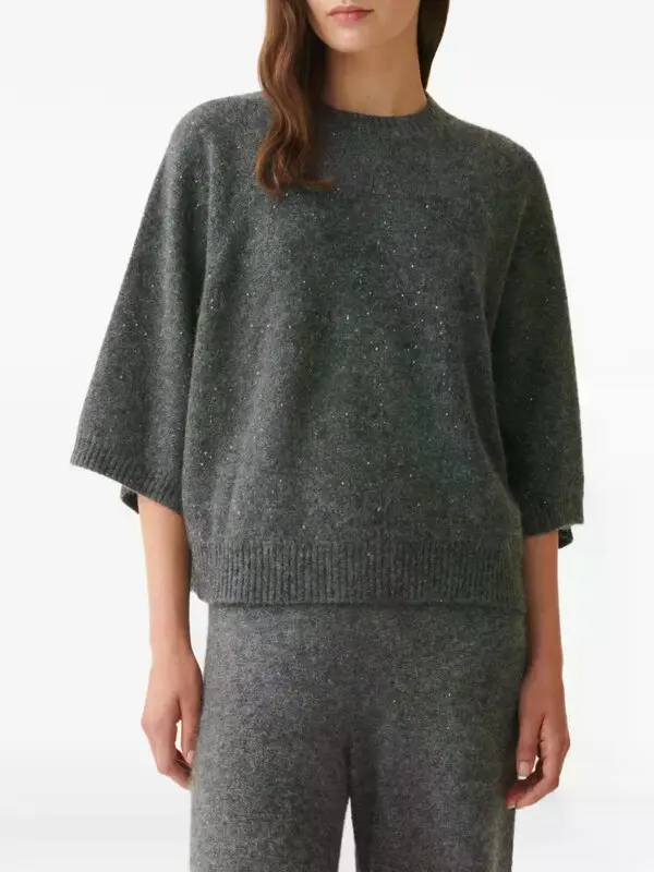 Fabiana Filippi Sequin-embellished Cropped Sweater