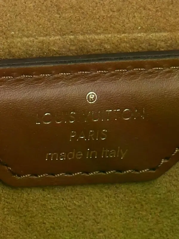 LOUIS VUITTON Papillon Trunk Bag Monogram Canvas Shoulder Bag
