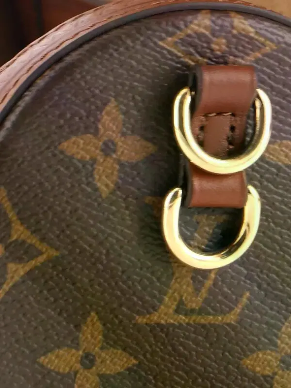LOUIS VUITTON Papillon Trunk Bag Monogram Canvas Shoulder Bag