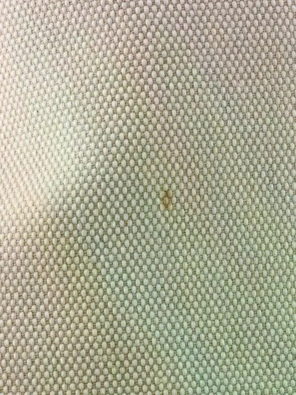 Burberry Logo Society Printed Canvas Large Tote Bag