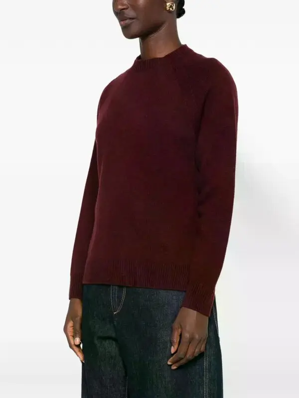 Peserico Bead-embellished Raglan-sleeve Sweater