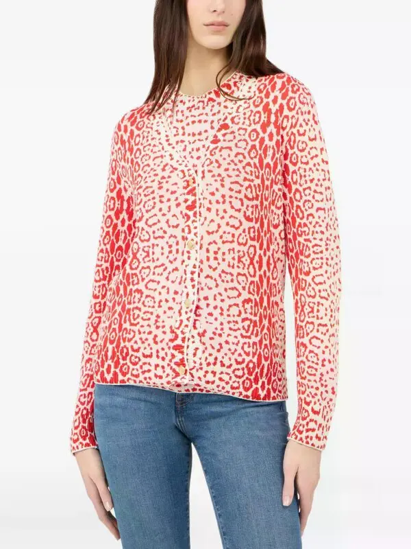 Roberto Cavalli Leopard-print Cardigan