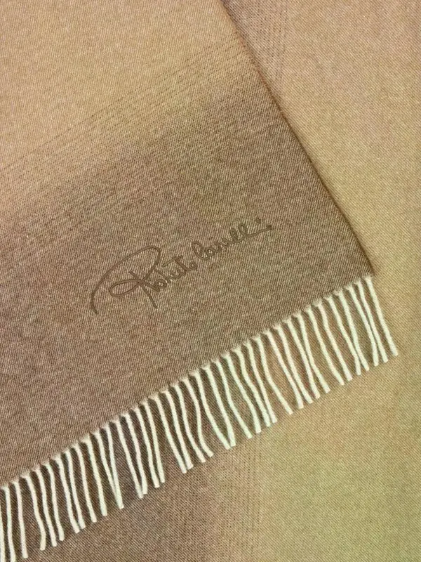 Roberto Cavalli Gradient-effect Fringed Blanket